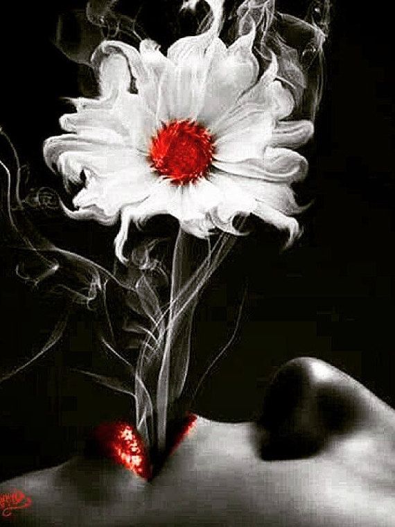 Break the Mold – So, This is Real Life